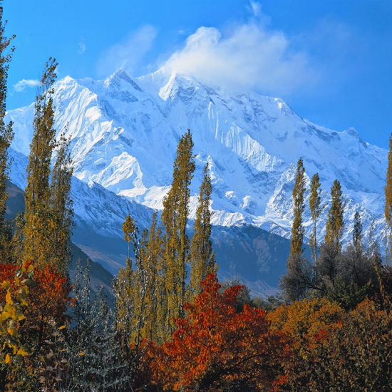 Best Travel and Tourism Company in Pakistan | Click Pakistan