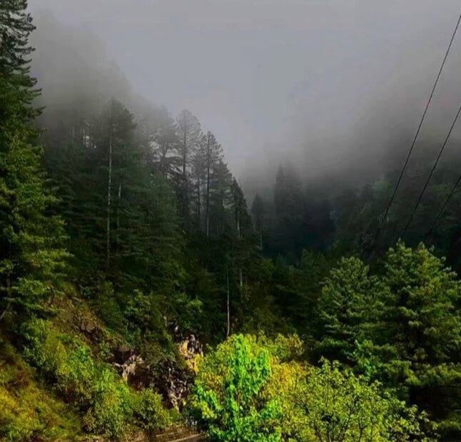 Exclusive 3 Days Nathia Gali Tour Package for Couple from Lahore